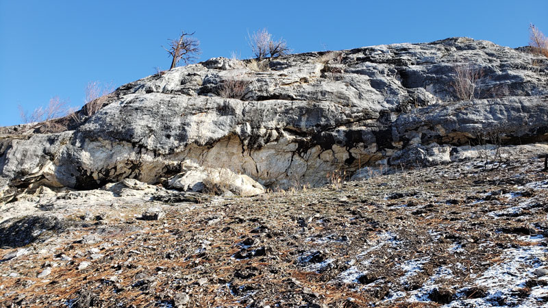 Index of /limestone_fortress